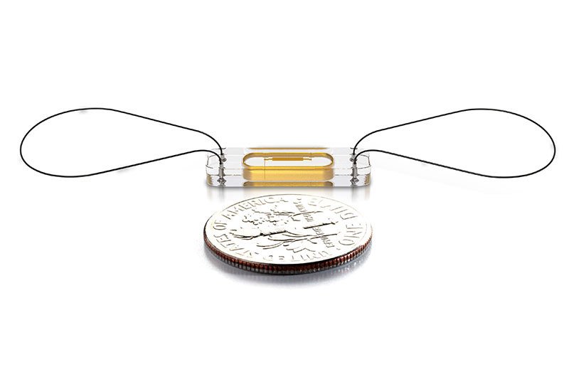 CardioMEMS Heart Failure Monitoring System - Cardiovascular ...